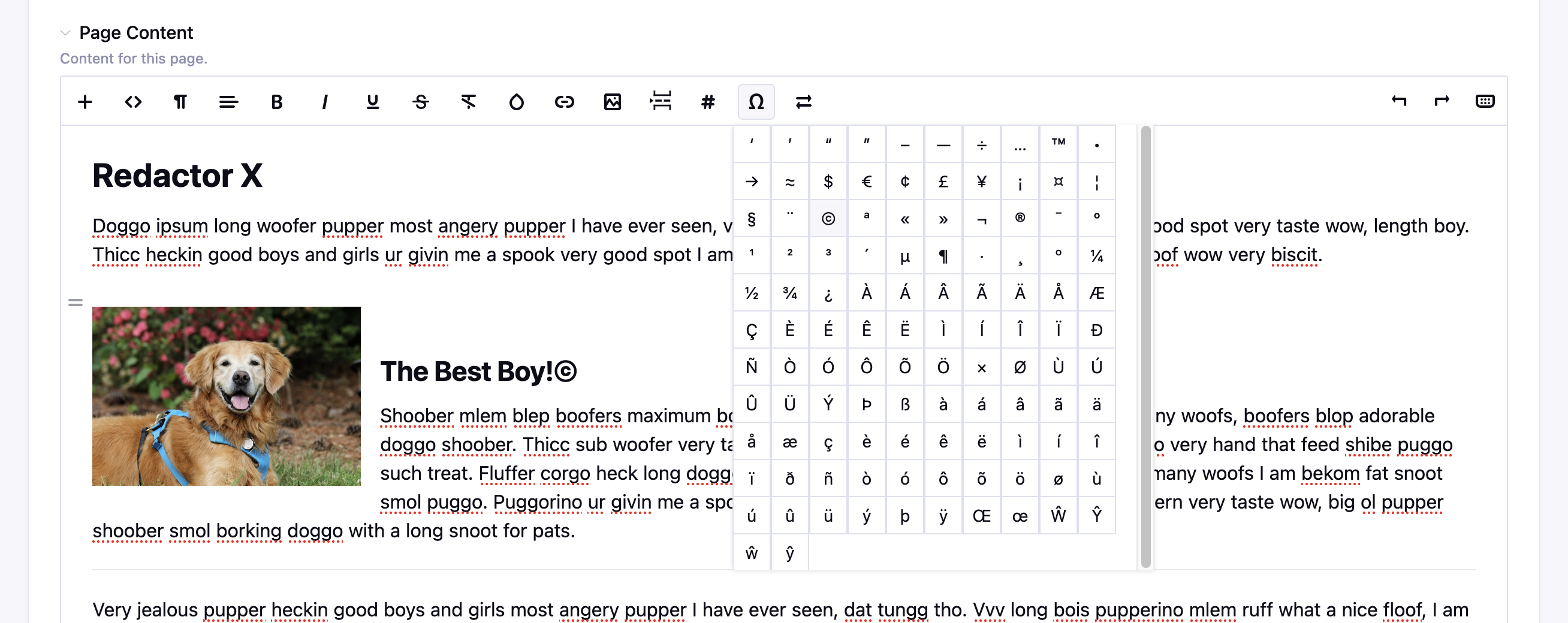 7.4.0 Preview: Redactor X Available in the Rich Text Editor (RTE ...